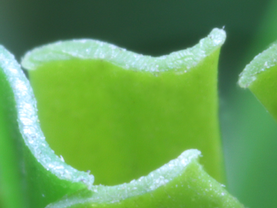 Blade Profiles for Turf | AAM USA-Made